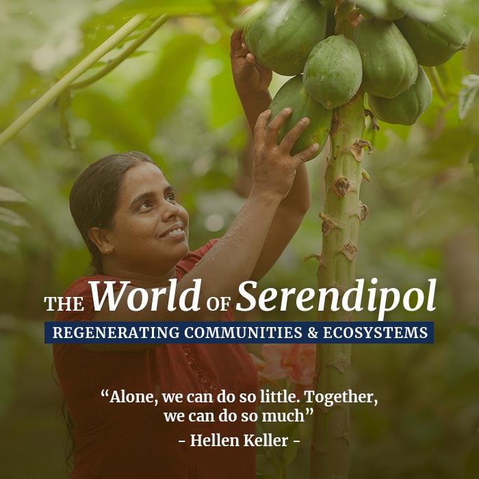 Serendipol | Regenerative Integrity