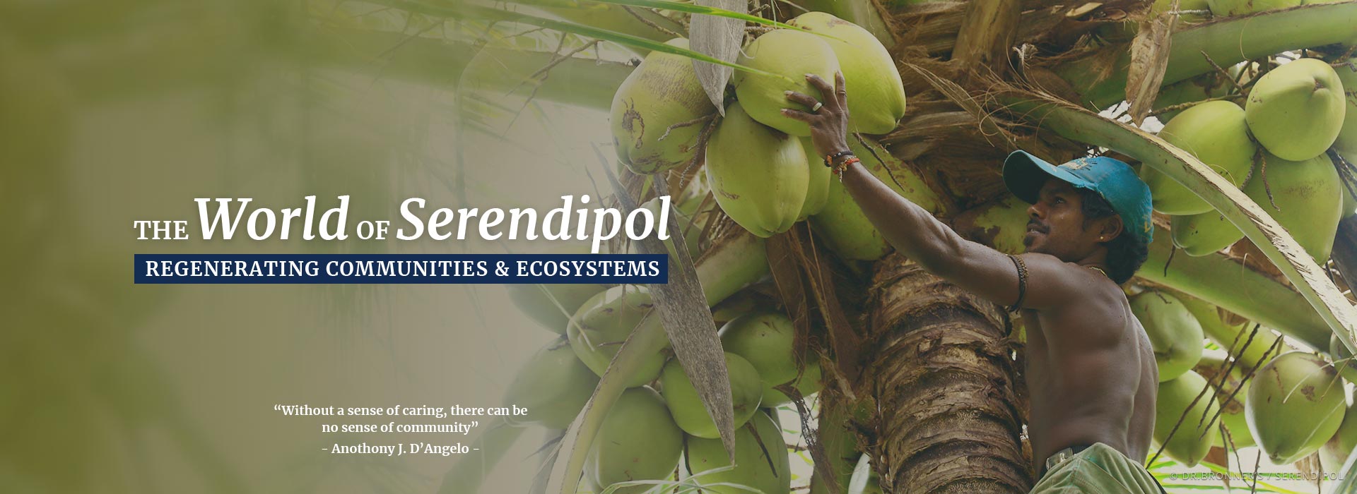 Serendipol | Regenerative Integrity