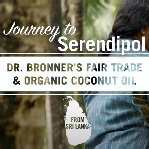 Resilience and Regeneration in Sri Lanka’s Serendipol - Serendipol