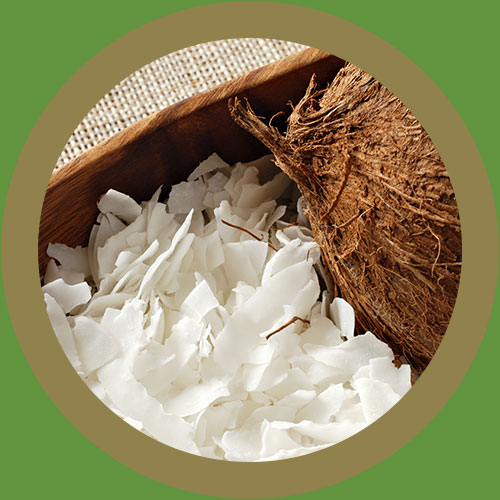 Coconut Chips - Serendipol